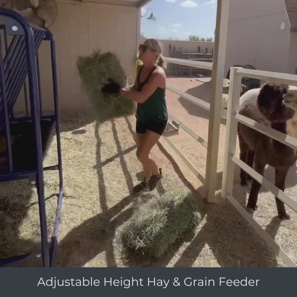 Adjustable Height Hay & Grain Feeder